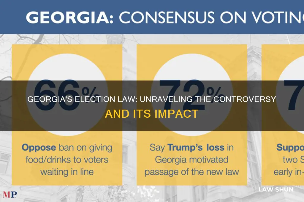 Georgia's Election Law: Unraveling The Controversy And Its Impact | LawShun