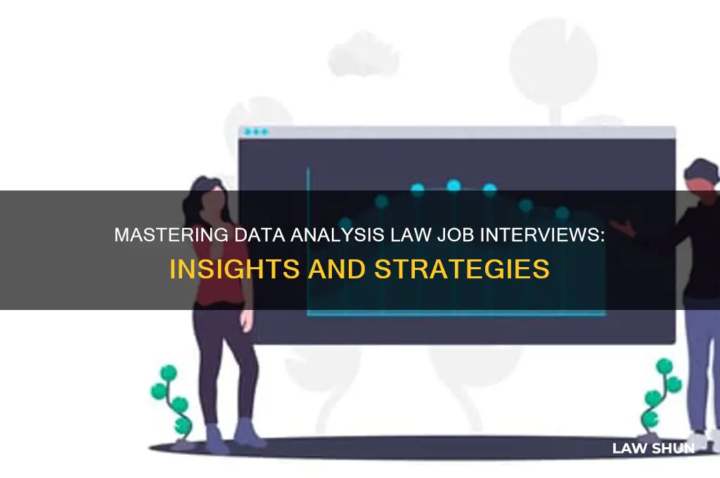 Mastering Data Analysis Law Job Interviews: Insights And Strategies ...