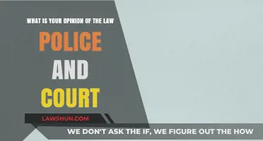 Understanding The Legal Process For Replacing A Supreme Court Justice ...