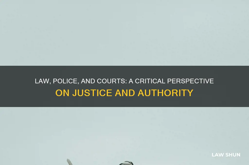 Law, Police, And Courts: A Critical Perspective On Justice And ...