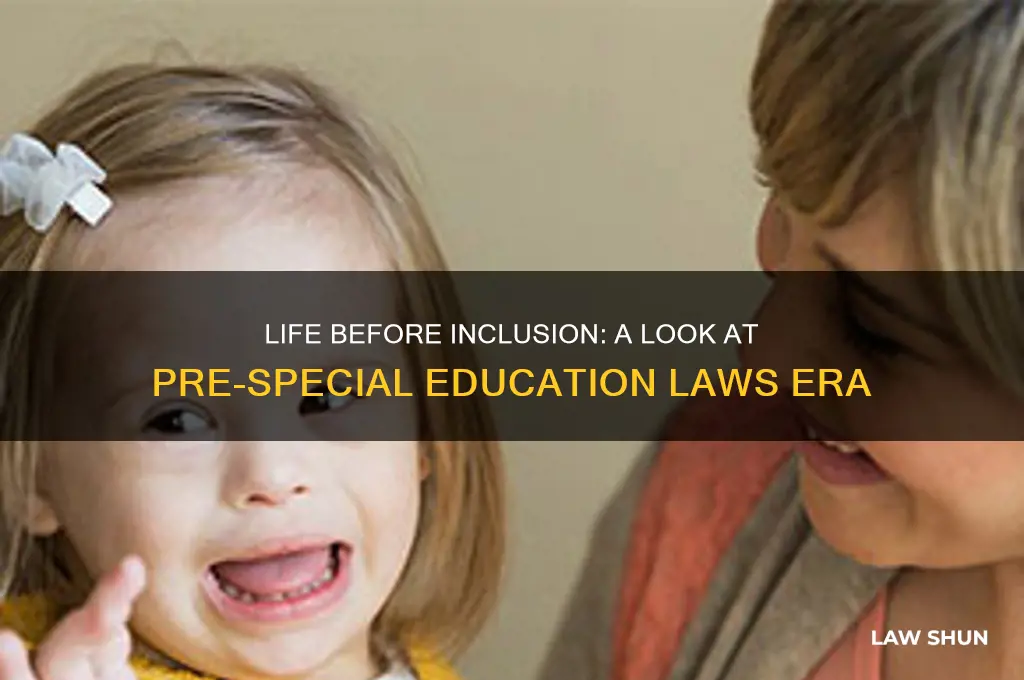 Life Before Inclusion: A Look At Pre-Special Education Laws Era | LawShun