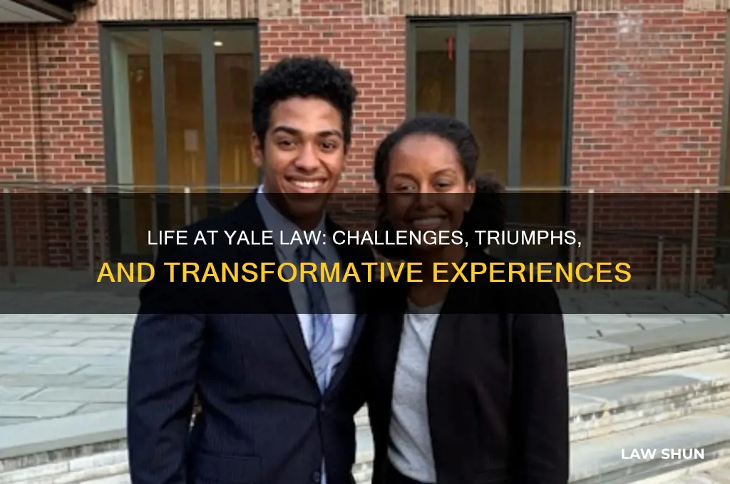 Life At Yale Law: Challenges, Triumphs, And Transformative Experiences ...