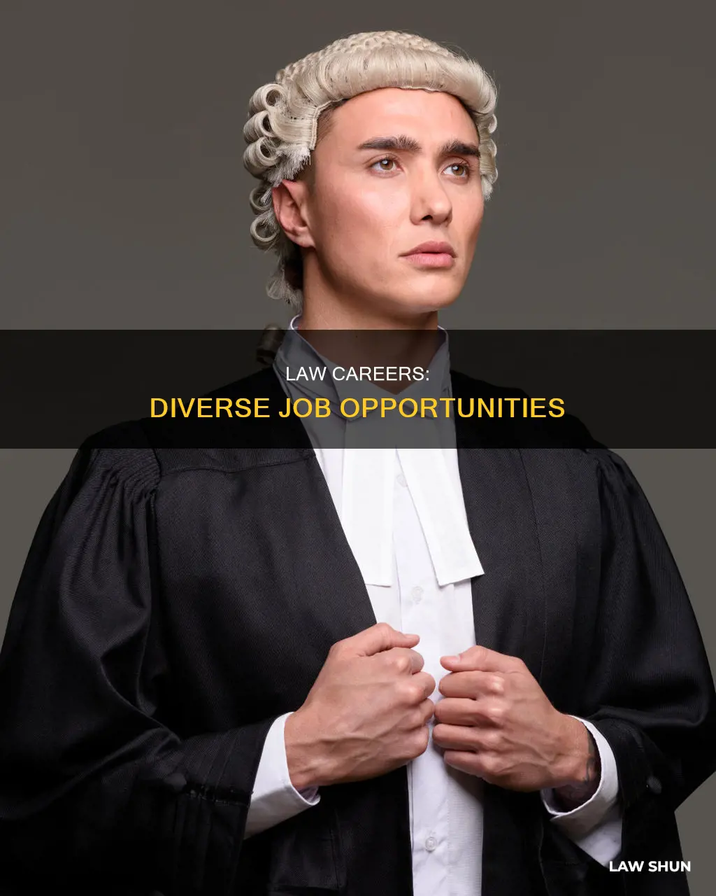 Law Careers: Diverse Job Opportunities | LawShun
