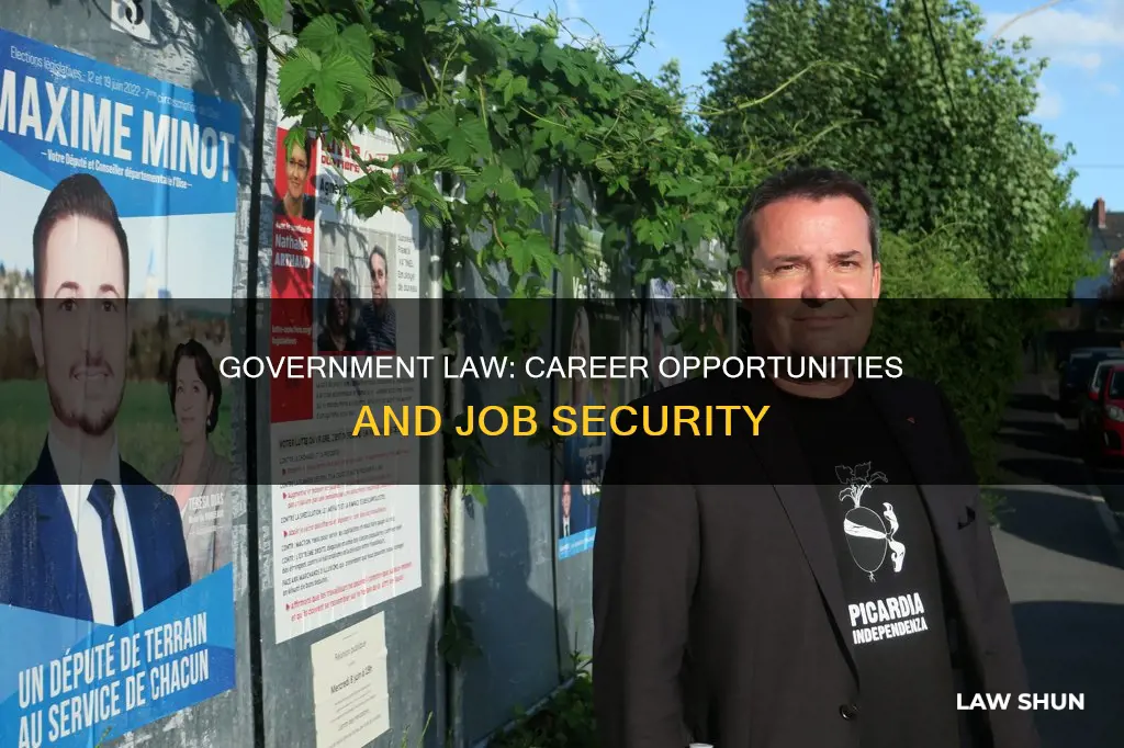 Government Law: Career Opportunities And Job Security | LawShun