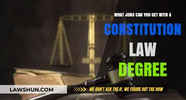 Explore Career Options With A Pre-Law Degree | LawShun
