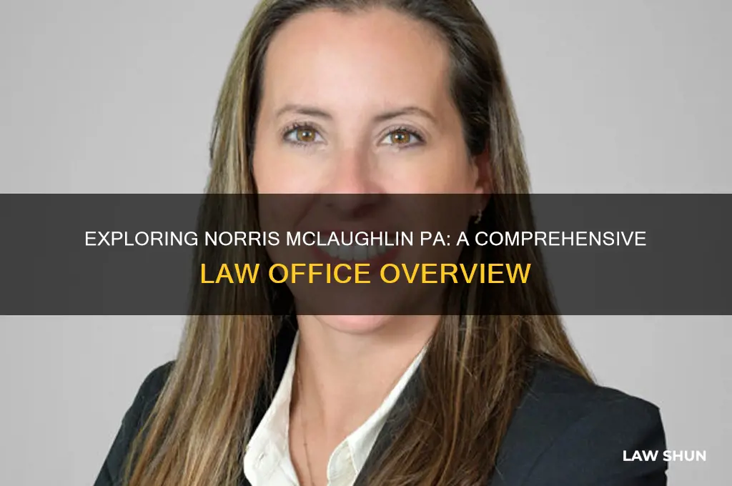Exploring Norris Mclaughlin Pa: A Comprehensive Law Office Overview ...