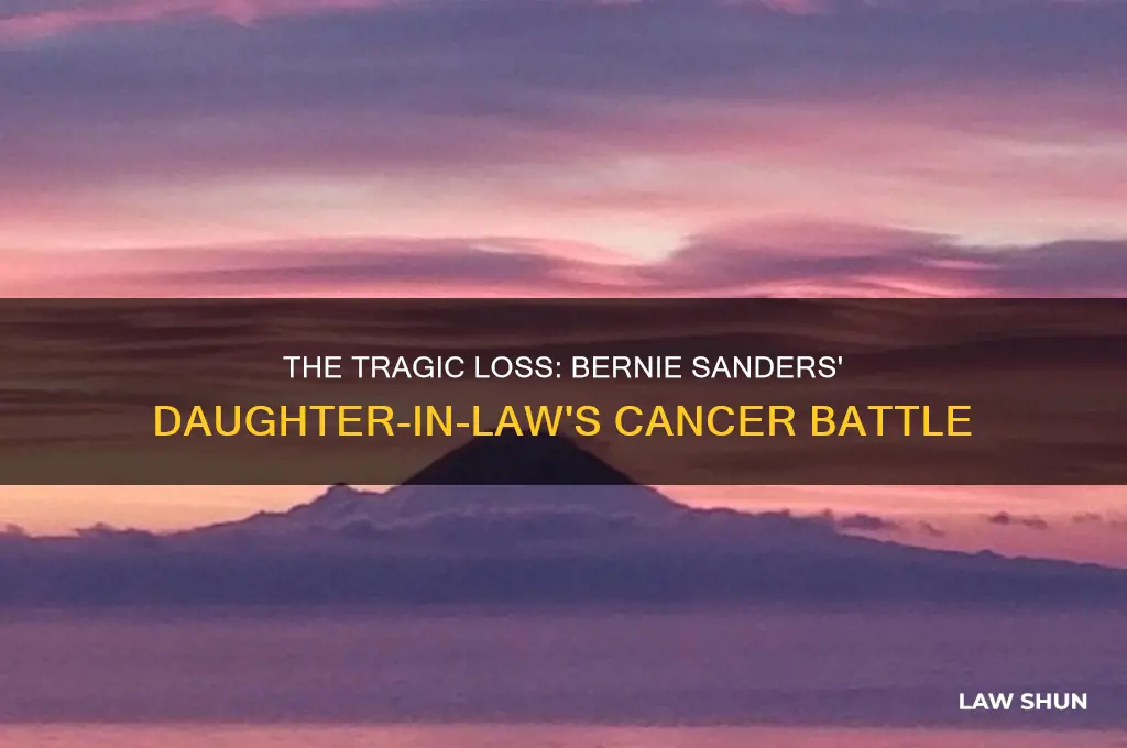 The Tragic Loss: Bernie Sanders' Daughter-In-Law's Cancer Battle | LawShun
