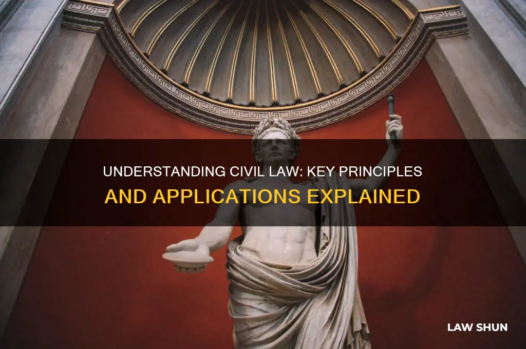 Understanding Civil Law: Key Principles And Applications Explained ...
