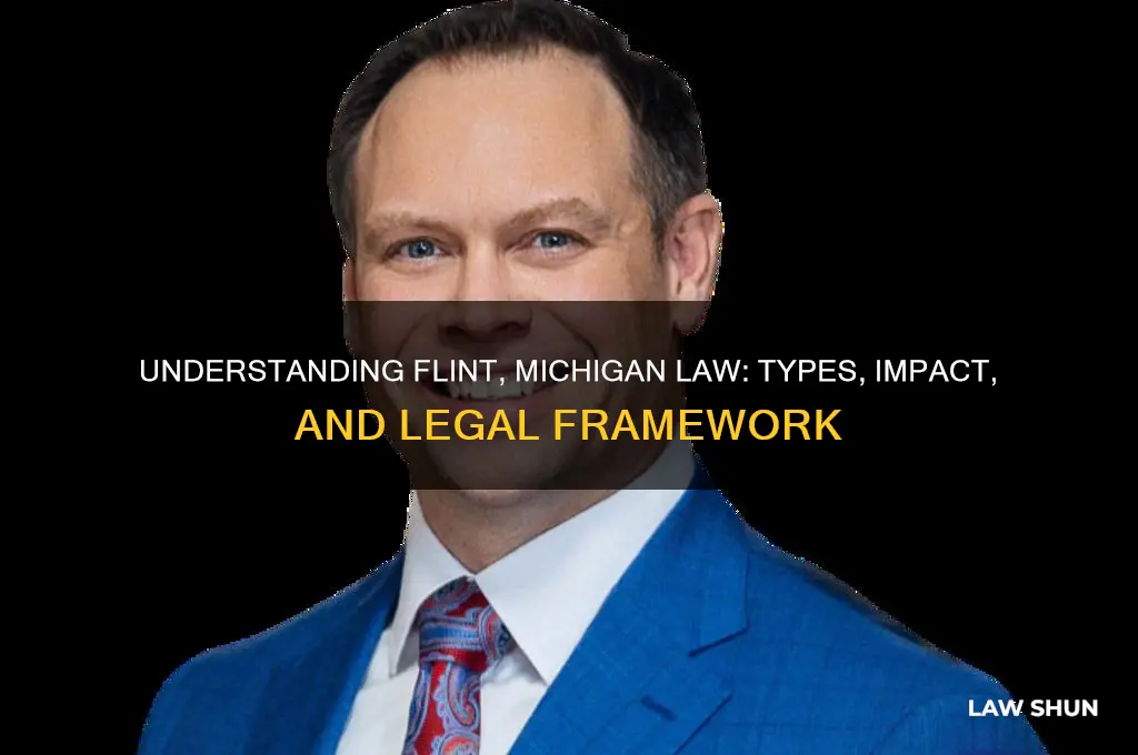 Understanding Flint, Michigan Law: Types, Impact, And Legal Framework ...