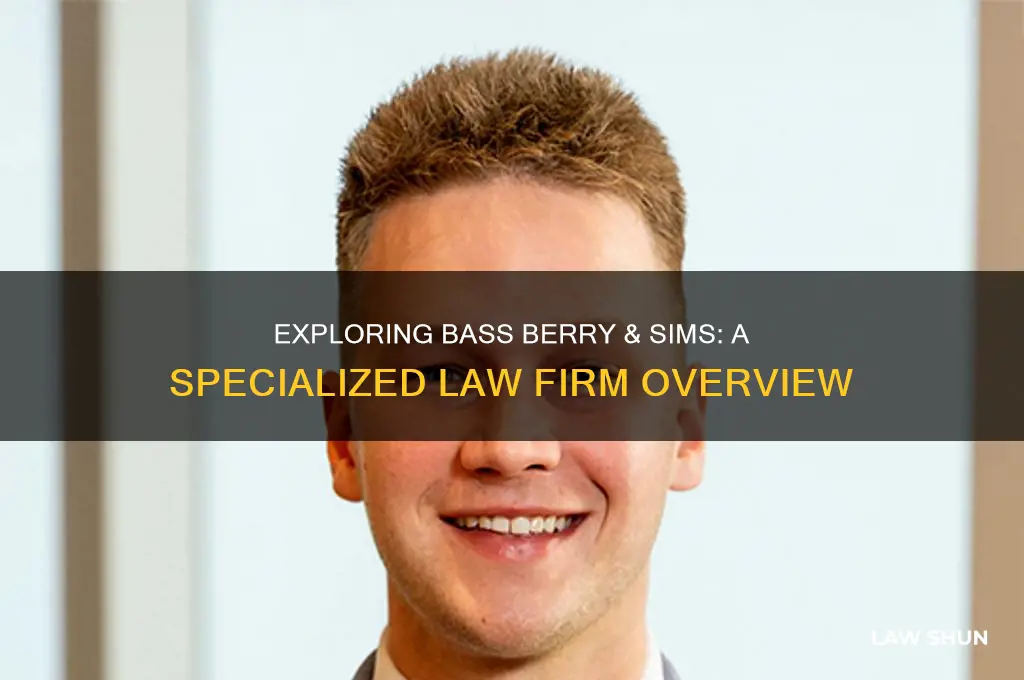Exploring Bass Berry & Sims: A Specialized Law Firm Overview | LawShun