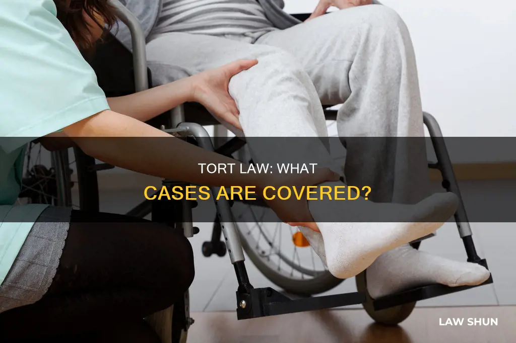Tort Law: What Cases Are Covered? | LawShun