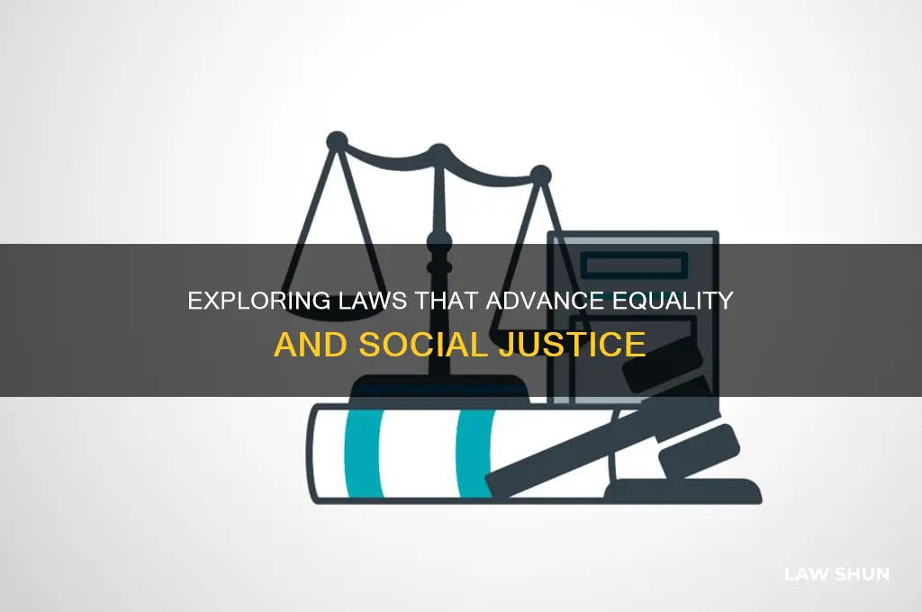 Exploring Laws That Advance Equality And Social Justice | LawShun