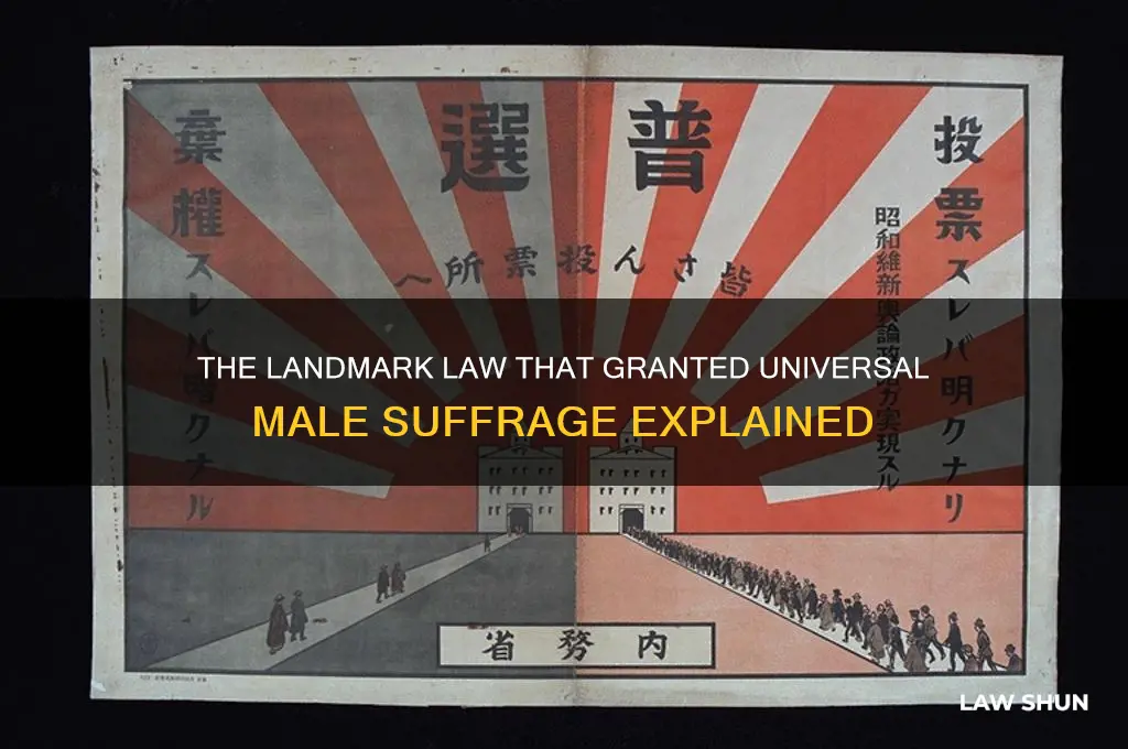 The Landmark Law That Granted Universal Male Suffrage Explained | LawShun