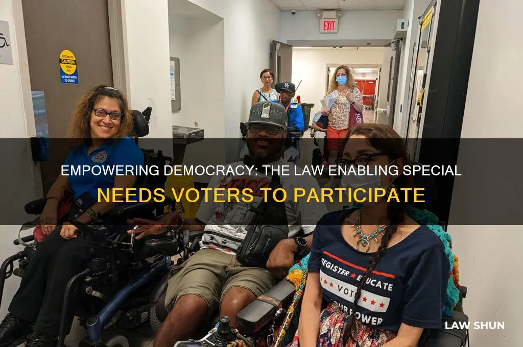 Empowering Democracy: The Law Enabling Special Needs Voters To ...