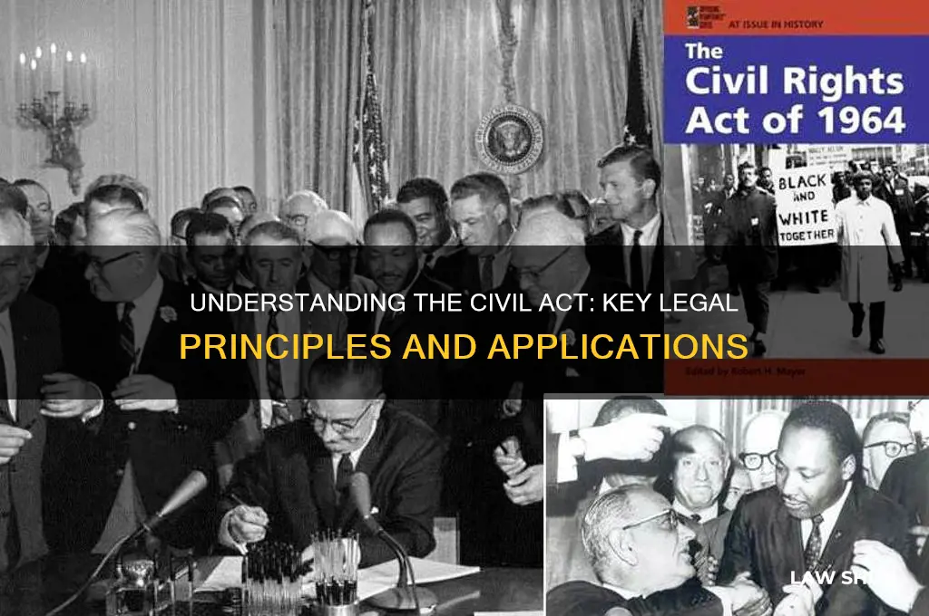 Understanding The Civil Act: Key Legal Principles And Applications ...