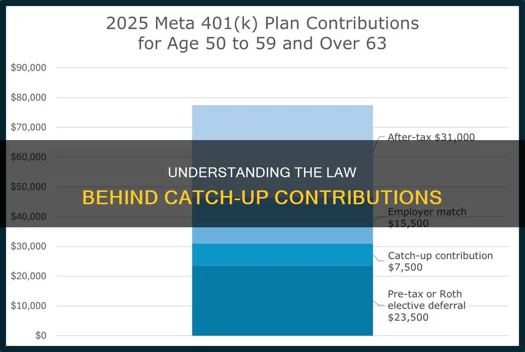 Understanding The Law Behind Catch-Up Contributions | LawShun