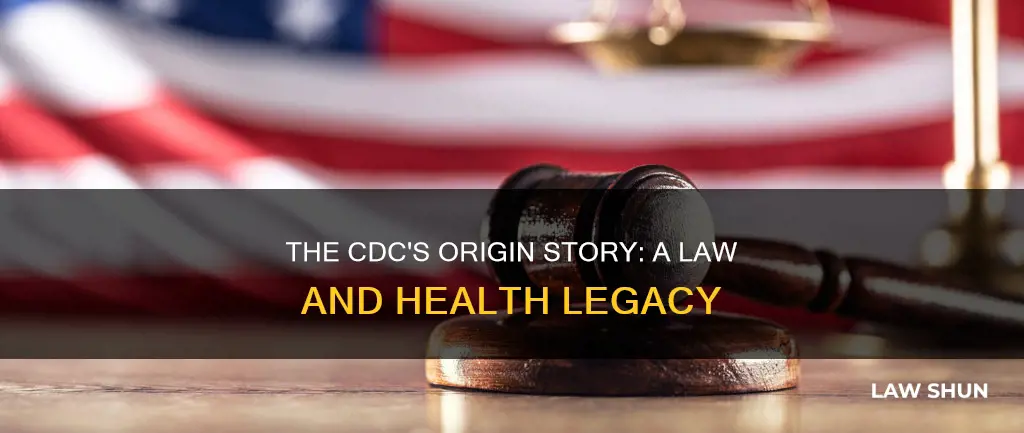 The Cdc's Origin Story: A Law And Health Legacy | LawShun