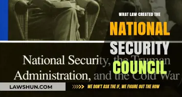 The Cia's Founding Legislation: A Historical Perspective | LawShun