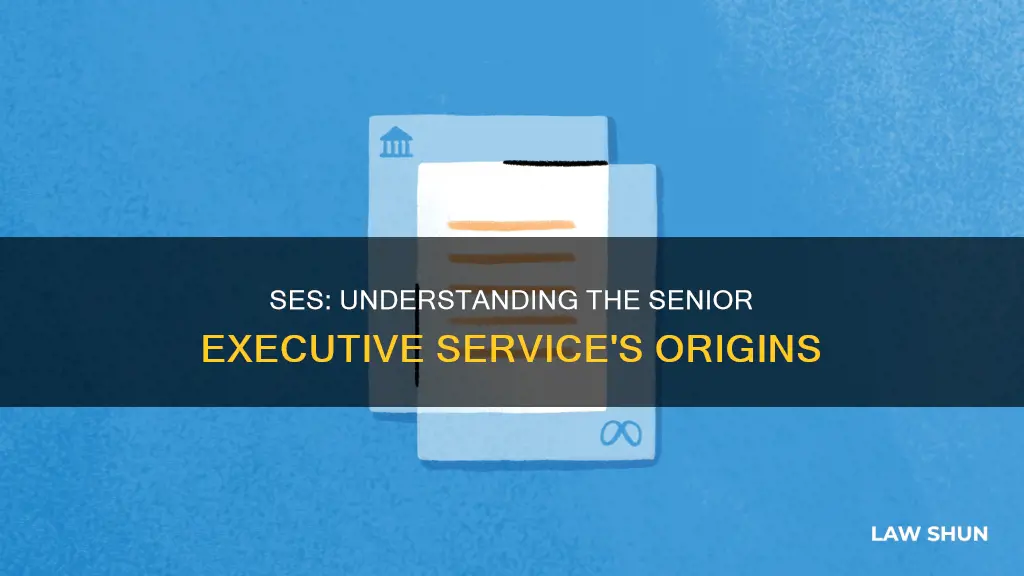Ses: Understanding The Senior Executive Service's Origins | LawShun
