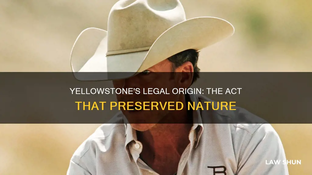 Yellowstone's Legal Origin: The Act That Preserved Nature | LawShun
