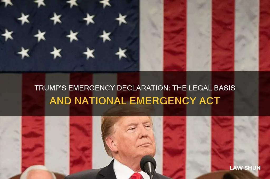 Trump's Emergency Declaration: The Legal Basis And National Emergency ...