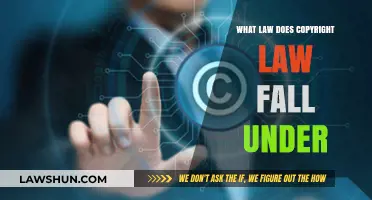 Understanding Copyright Law: Movie Posters And Legal Protection ...