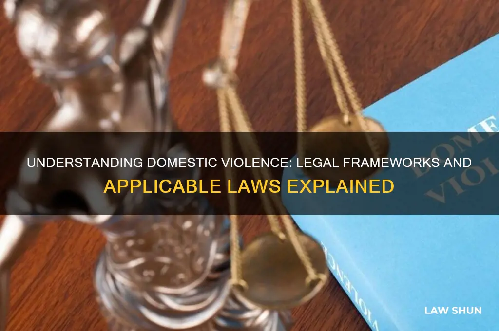 Understanding Domestic Violence: Legal Frameworks And Applicable Laws ...