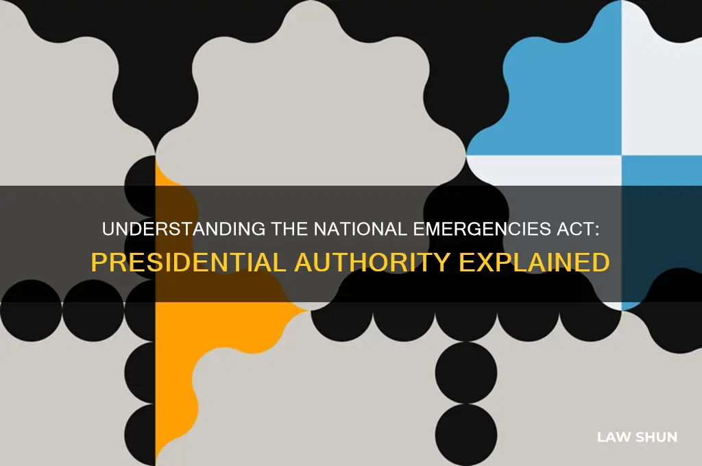 Understanding The National Emergencies Act: Presidential Authority ...