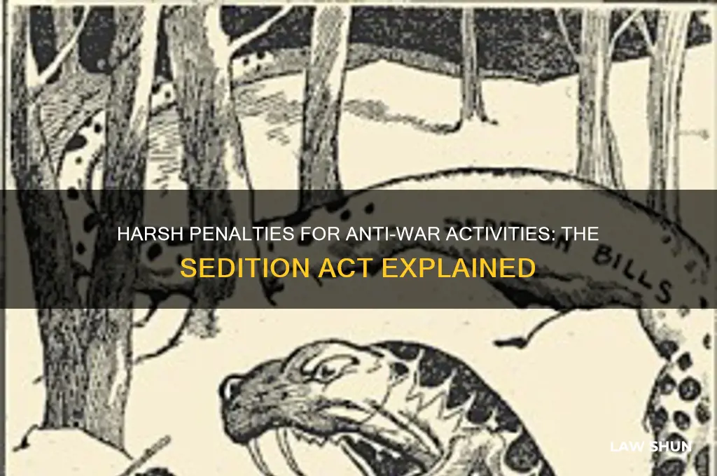 Harsh Penalties For Anti-War Activities: The Sedition Act Explained ...