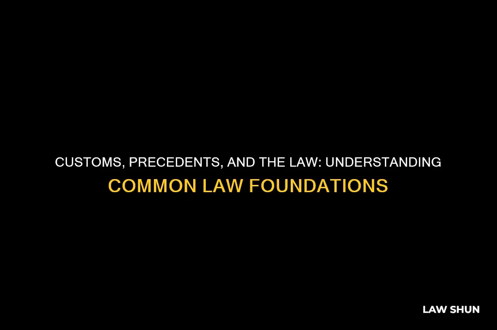 Customs, Precedents, And The Law: Understanding Common Law Foundations ...
