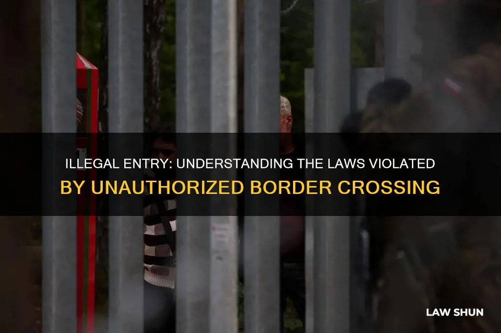 Illegal Entry: Understanding The Laws Violated By Unauthorized Border ...