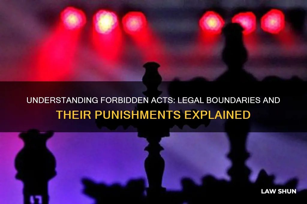 Understanding Forbidden Acts: Legal Boundaries And Their Punishments ...