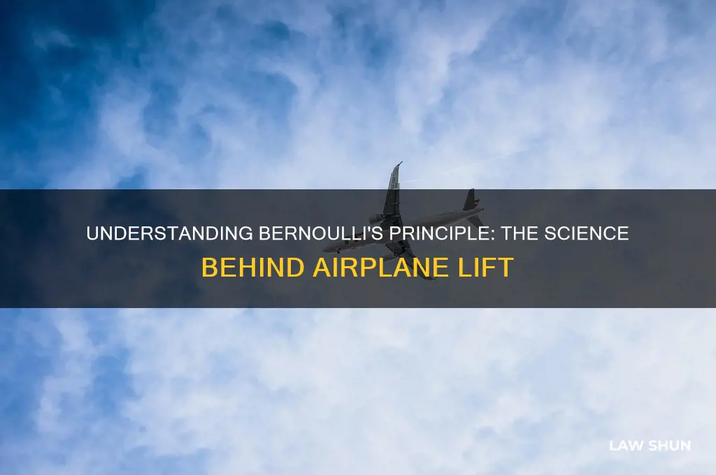 Understanding Bernoulli's Principle: The Science Behind Airplane Lift ...