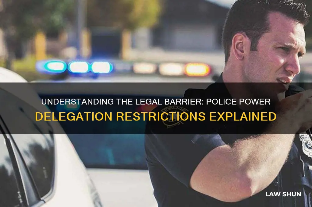 Understanding The Legal Barrier: Police Power Delegation Restrictions ...