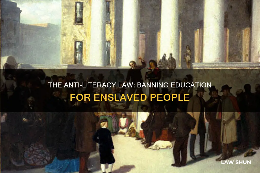 The Anti-Literacy Law: Banning Education For Enslaved People | LawShun