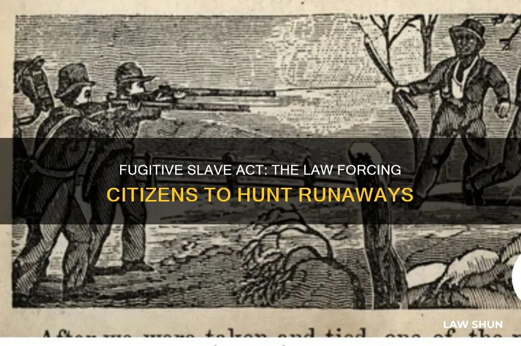 Fugitive Slave Act: The Law Forcing Citizens To Hunt Runaways | LawShun
