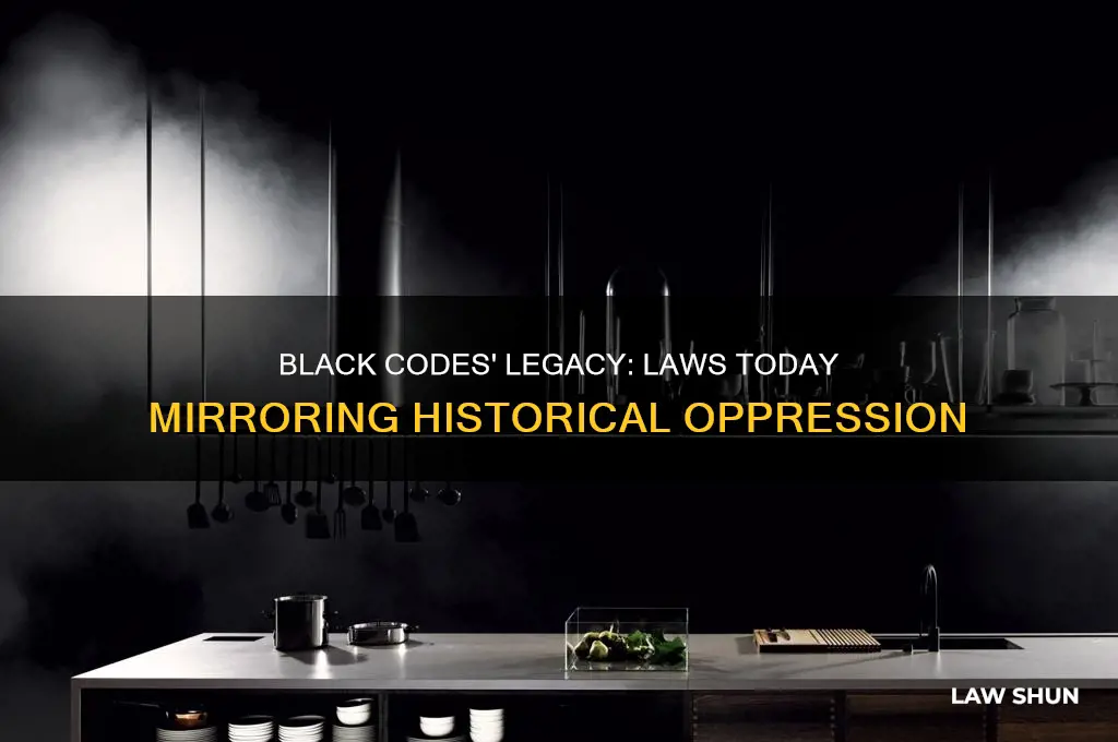 Black Codes' Legacy: Laws Today Mirroring Historical Oppression | LawShun