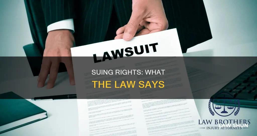 Suing Rights: What The Law Says | LawShun