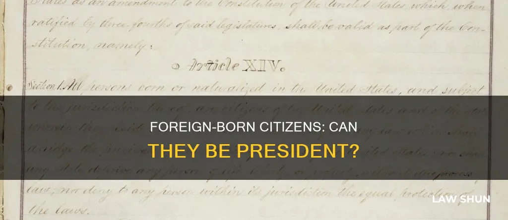 Foreign-Born Citizens: Can They Be President? | LawShun