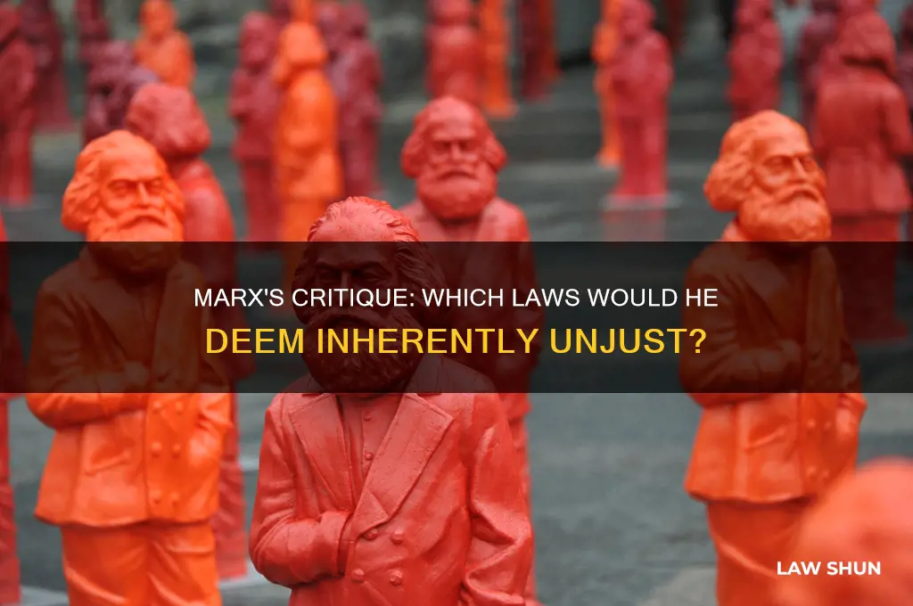 Marx's Critique: Which Laws Would He Deem Inherently Unjust? | LawShun