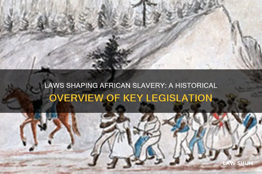Laws Shaping African Slavery: A Historical Overview Of Key Legislation ...
