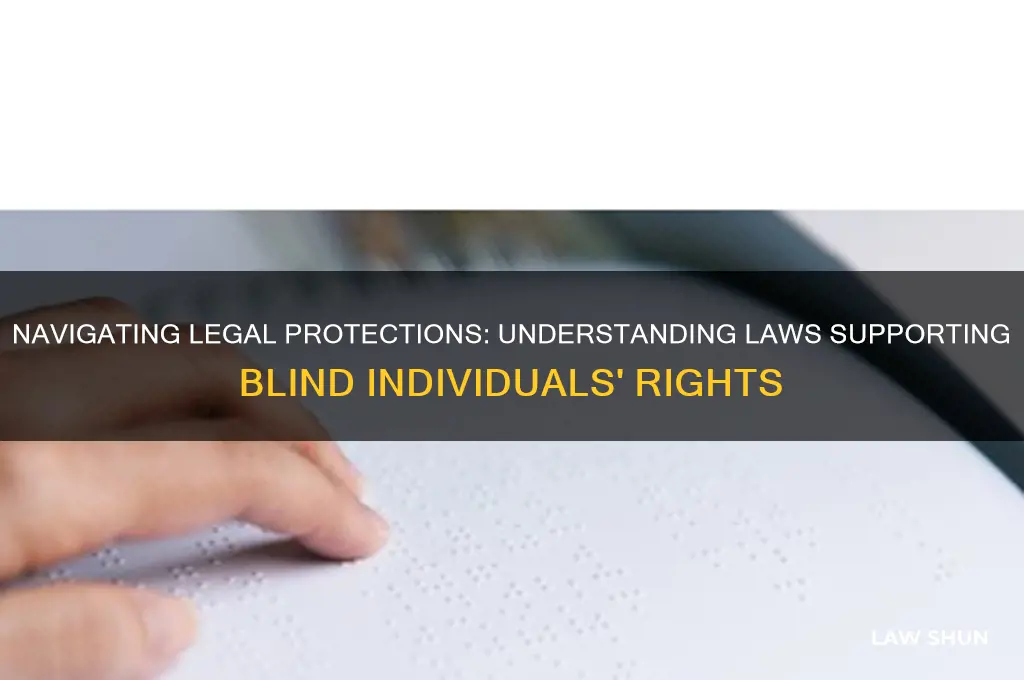 Navigating Legal Protections: Understanding Laws Supporting Blind ...