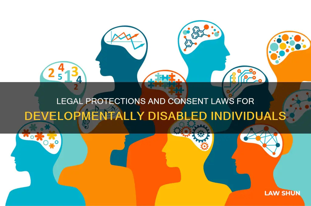 Legal Protections And Consent Laws For Developmentally Disabled ...