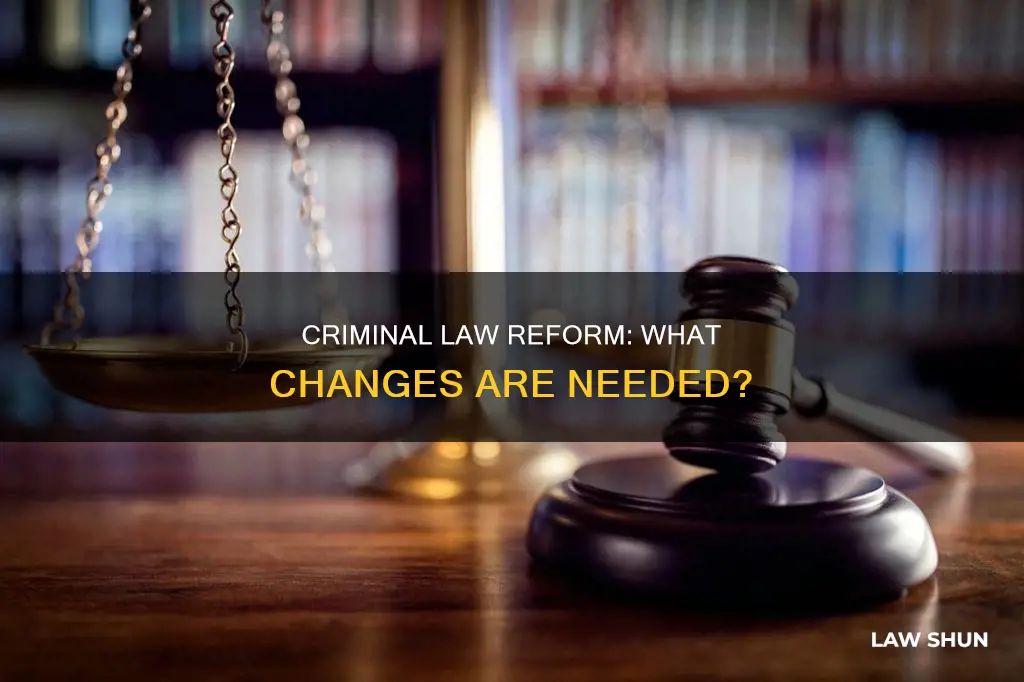 Criminal Law Reform: What Changes Are Needed? | LawShun