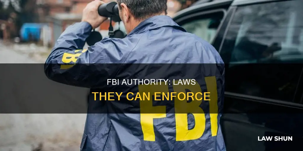 Fbi Authority: Laws They Can Enforce | LawShun