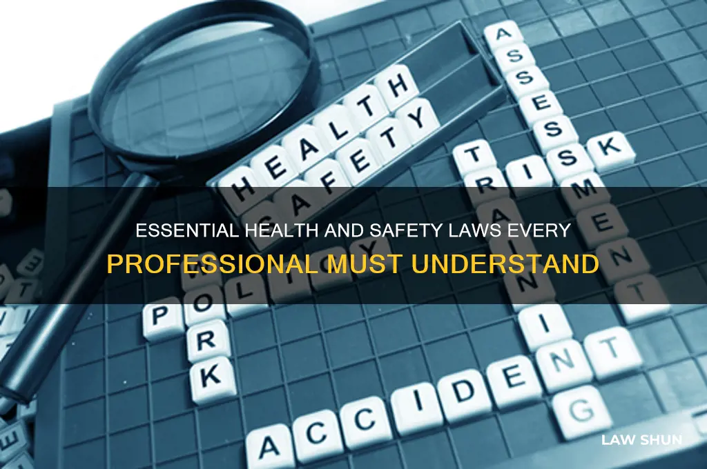 Essential Health And Safety Laws Every Professional Must Understand ...