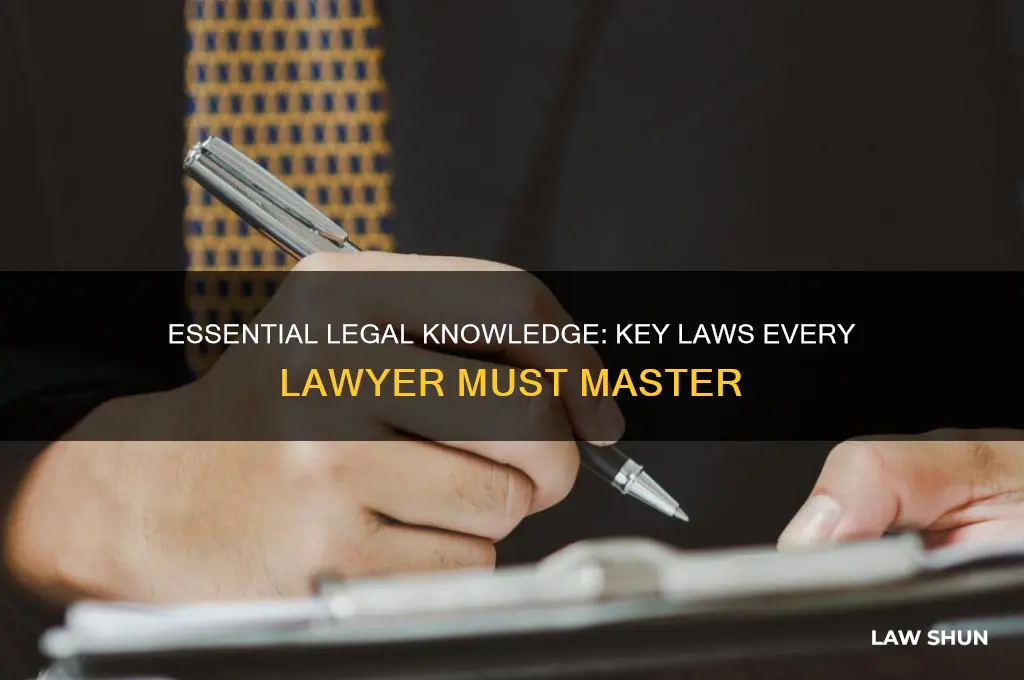 Essential Legal Knowledge: Key Laws Every Lawyer Must Master | LawShun