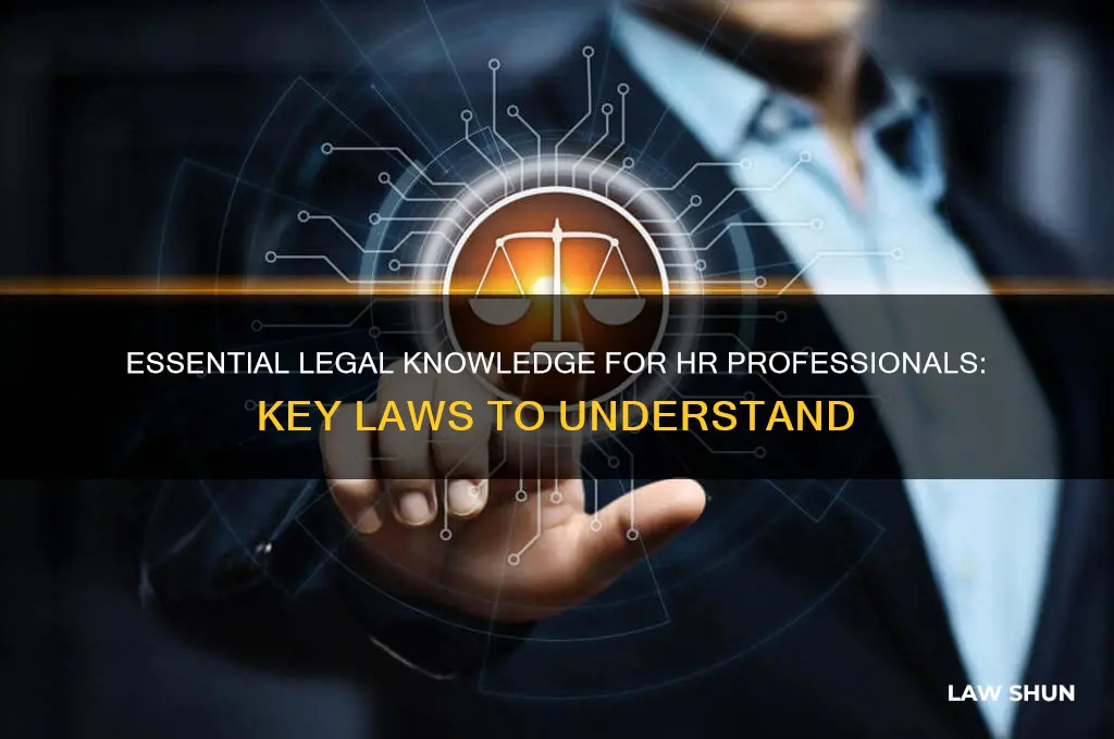 Essential Legal Knowledge For Hr Professionals: Key Laws To Understand ...