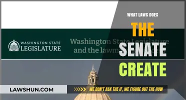 New Laws Post-9/11: How America Changed Forever | LawShun