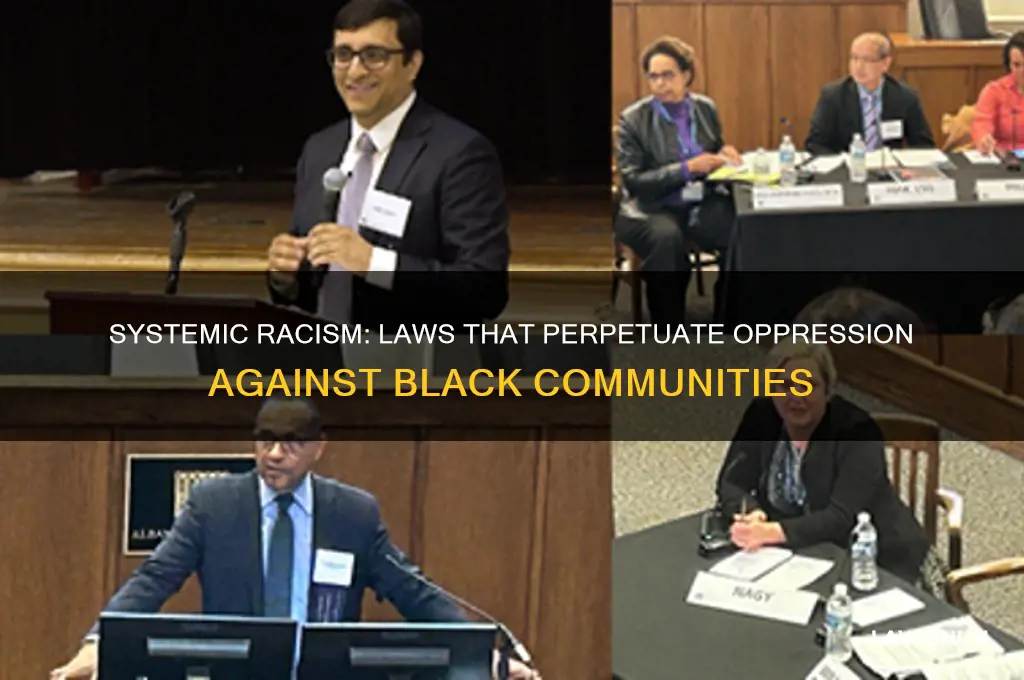 Systemic Racism: Laws That Perpetuate Oppression Against Black ...